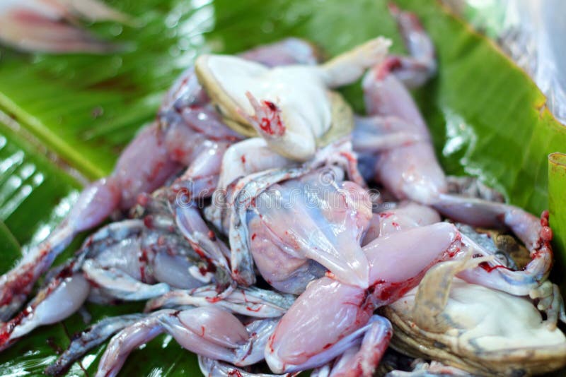 Fresh Frog Meat Tray Market Stock Photos - Free & Royalty-Free Stock ...