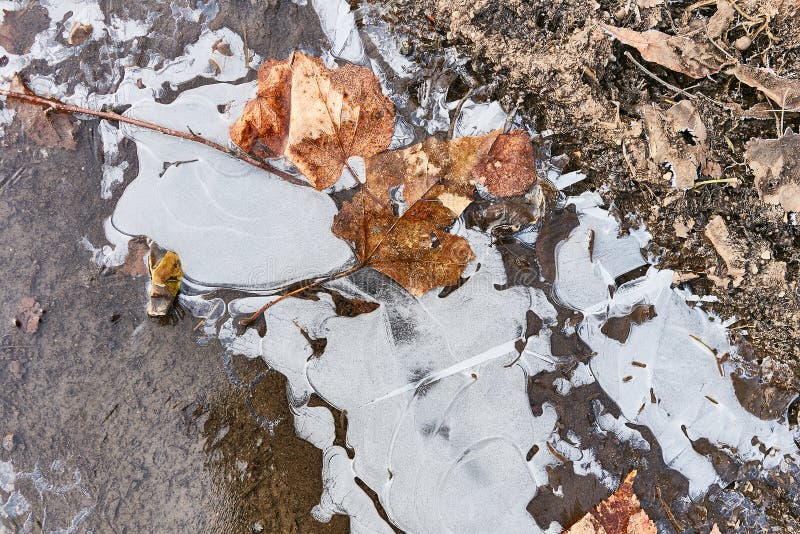 Fresh Frost and Ice on the Ground. Dirt in the Fall. Ice Patterns on ...