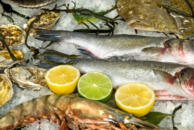 Fresh Frozen Fish with Oysters, Lobster and Lemons Stock Image - Image ...