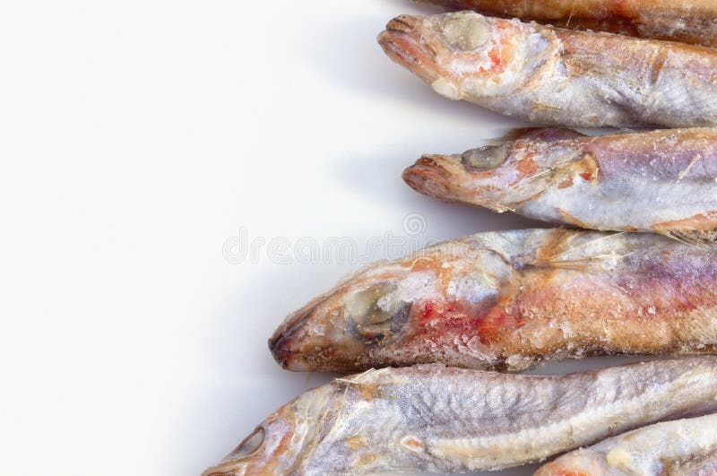Fresh-frozen Sea Fish Carcass Stock Photo - Image of fish, industry ...