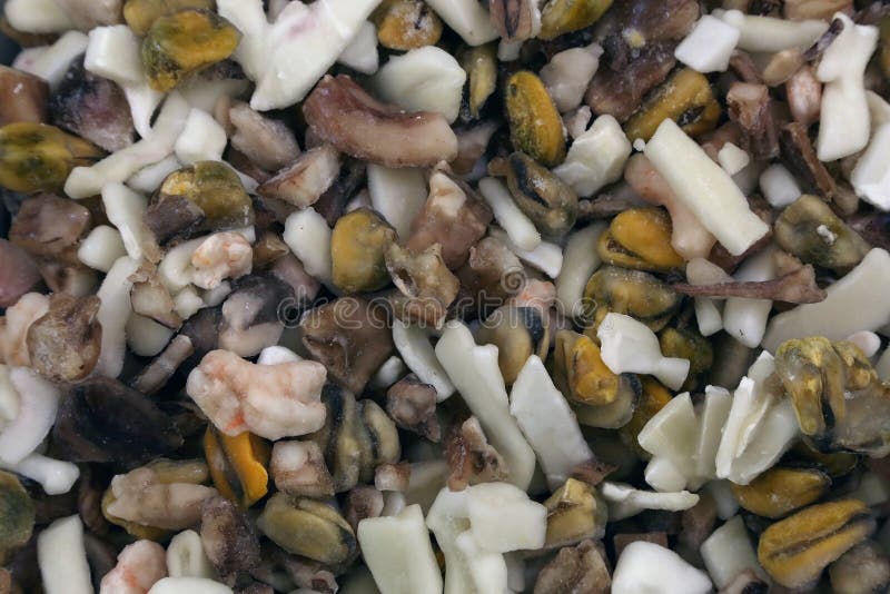 Fresh frozen seafood. stock image. Image of frozen, fresh - 64448231