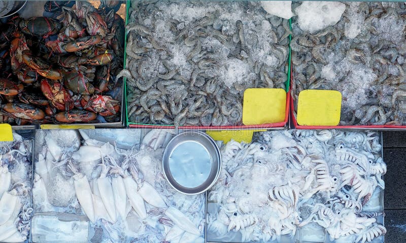 Fresh Frozen Seafood for Sell Stock Image - Image of eating, store ...