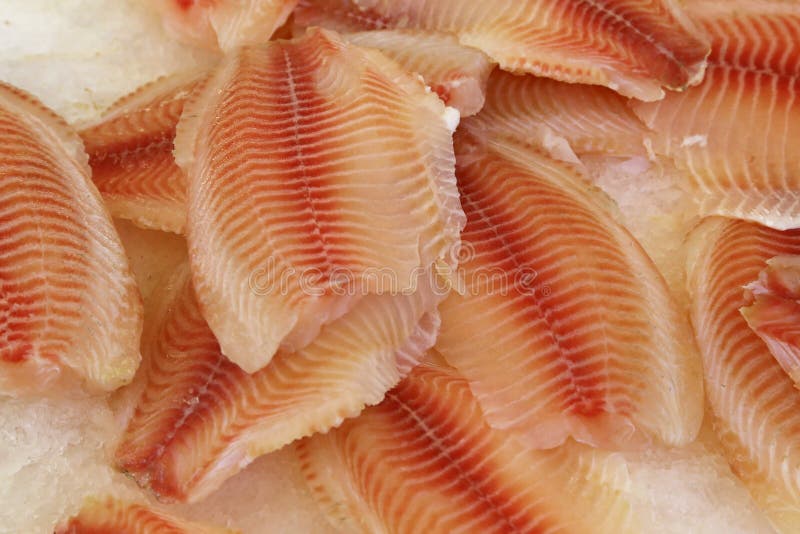 Fresh frozen seafood. stock photo. Image of frozen, tasty - 64448258