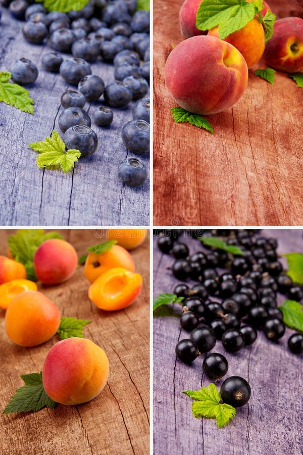 Fresh fruit stock photo. Image of plant, food, closeup - 25687598