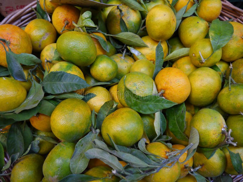 Fresh fruit in a tree stock photo. Image of flavor, breeding - 34522768