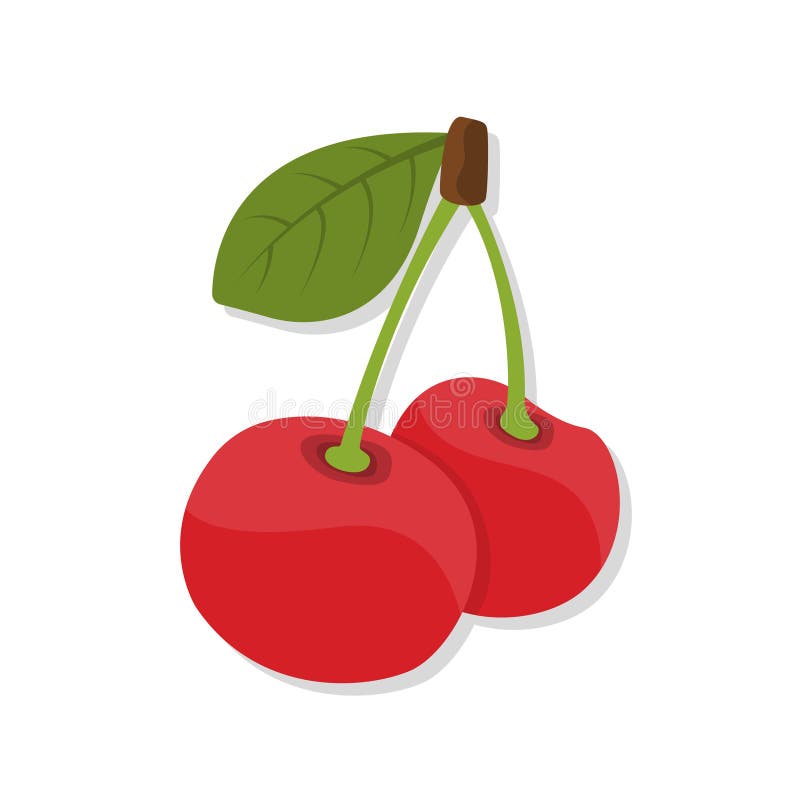 Fresh Fruit Cherry Cartoon Illustration Stock Vector - Illustration of ...