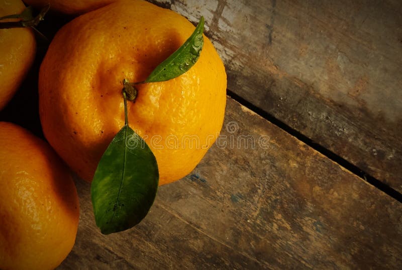 Fresh Fruit, Citrus, Ponkan Stock Photo - Image of table, fruit: 250053234