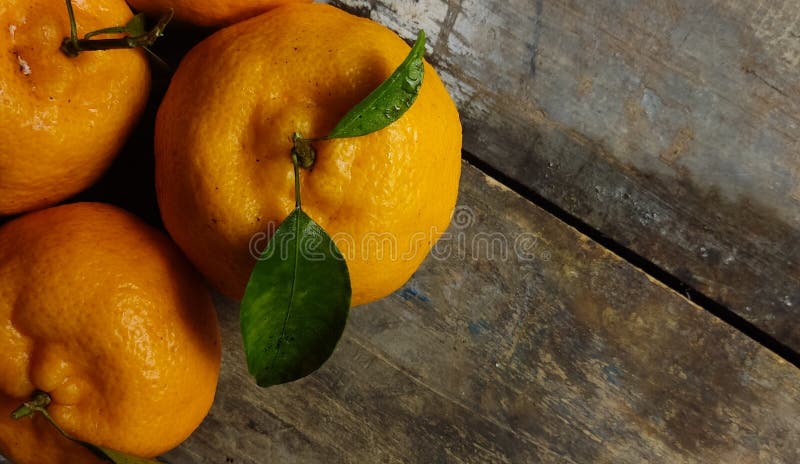 Fresh Fruit, Citrus, Ponkan Stock Image - Image of food, orange: 250053277