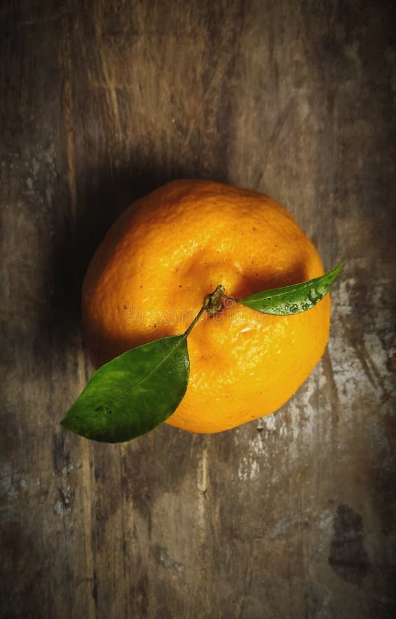 Fresh Fruit, Citrus, Ponkan Stock Photo - Image of orange, fresh: 250053334