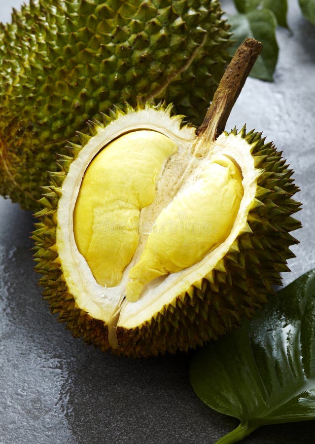 Fresh fruit, Durian stock photo. Image of studio, closeup - 40362346