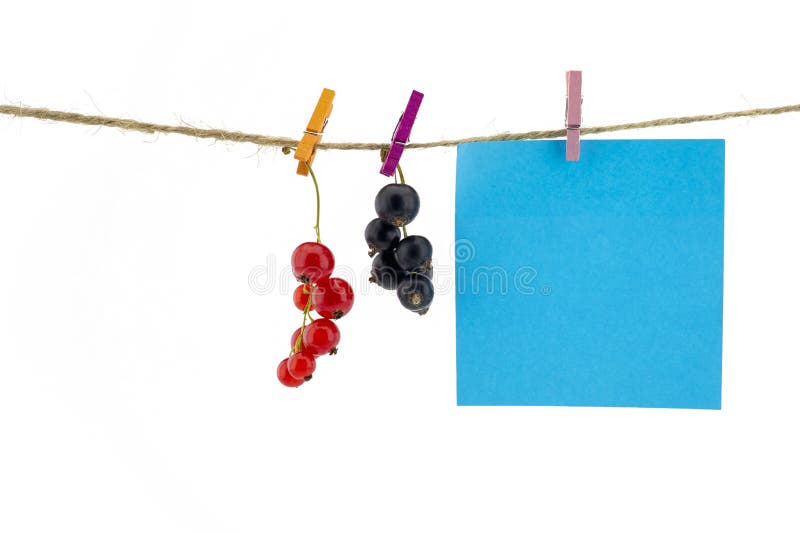 Fresh Fruit Hanging from Clothes Pegs on a Rope Stock Photo - Image of ...