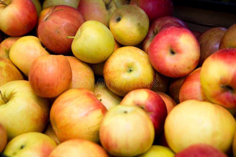 Fresh Fruit, Many Ripe Red Apples on the Counter in the Supermarket ...