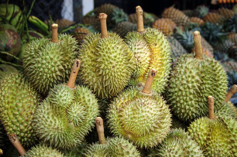 Fresh Fruit Market. Durian stock image. Image of background - 184591061