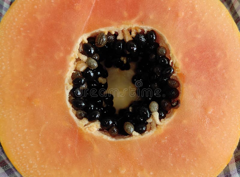 Fresh Fruit Papaya Healthy Food Clousep Image Stock Image - Image of ...