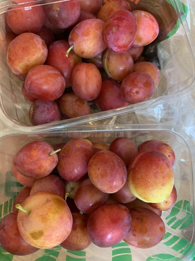 Fresh Fruit from Pick Your Own Stock Photo - Image of shrub, pick ...