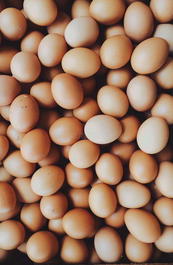 Fresh Fruit Strawberry Red Buah Segar Garden Stock Image - Image of ...