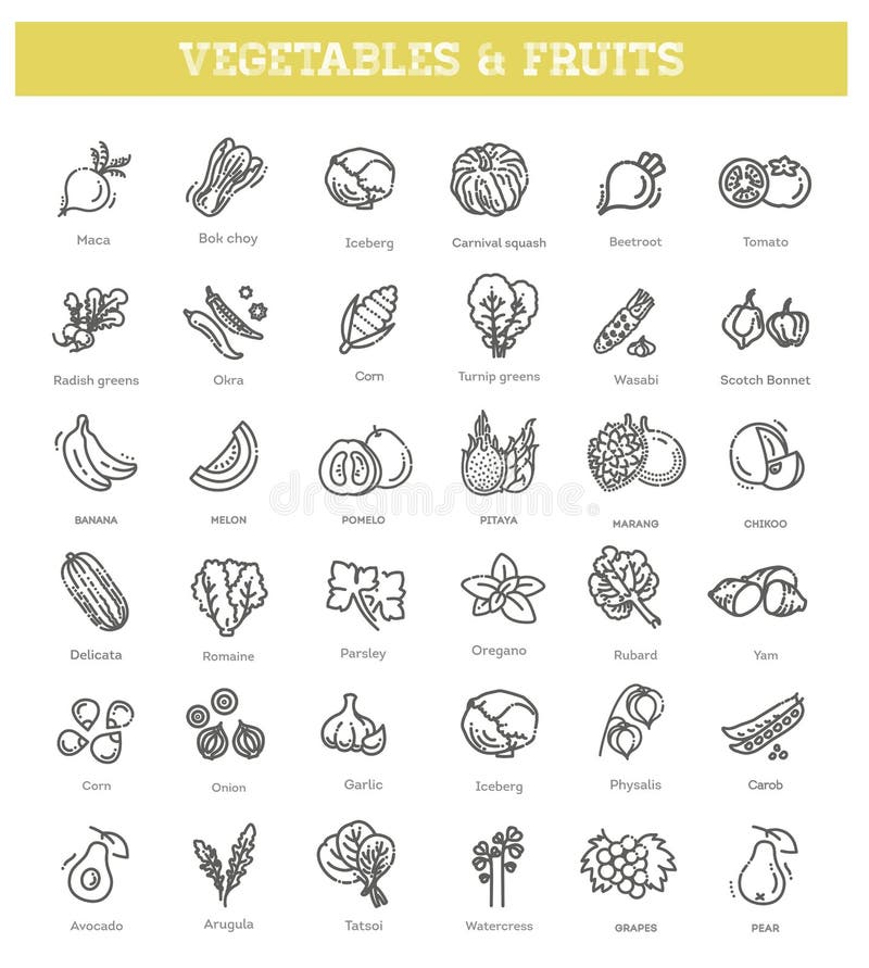 Fresh Fruit and Vegetables. Vector Icons Set Stock Vector ...