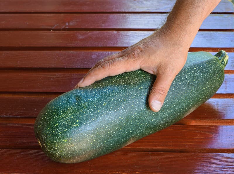 Fresh Fruit Zucchini Kept in Hands Over the Table Stock Photo - Image ...