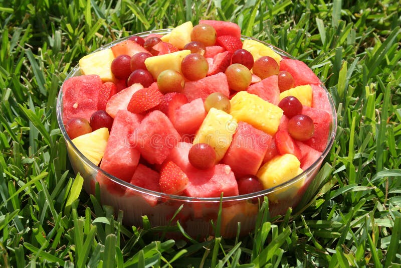 Fresh fruits on the grass stock image. Image of pineappel - 1047223