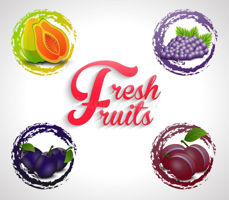 Fresh Fruits Icons stock vector. Illustration of fresh - 73261952
