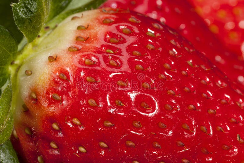 Fresh Fruits of Red Strawberry, Close Up Stock Photo - Image of macro ...