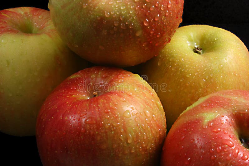 Fresh Fuji Apples stock photo. Image of good, grocery, health - 370528