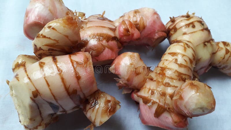 Fresh Galangal or Laos or Lengkuas from Indonesia Stock Image - Image ...