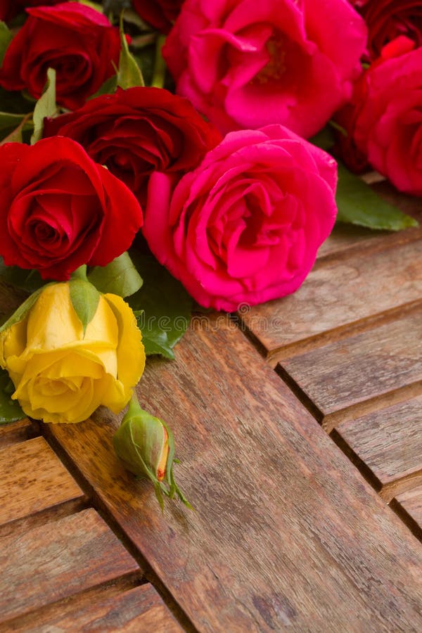 Fresh garden roses stock photo. Image of arrangement - 26536792