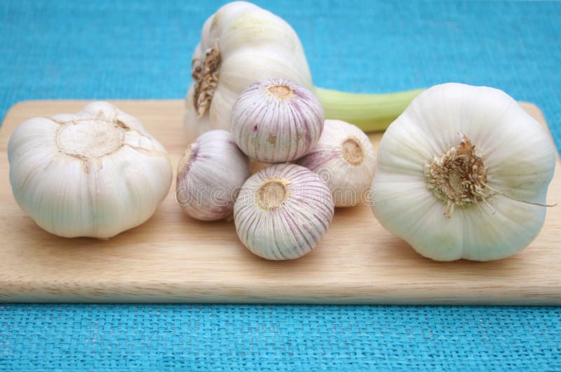 Fresh garlic stock image. Image of violette, spices, food - 11495857