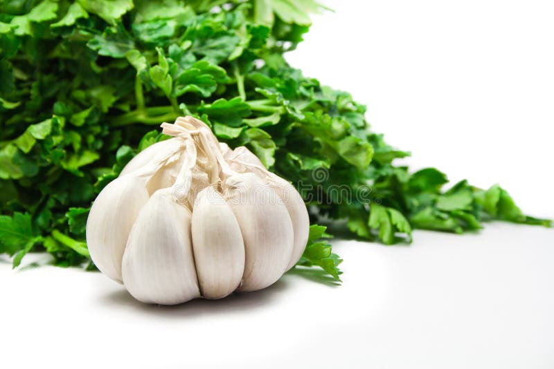 Fresh garlic stock photo. Image of delicious, parsley - 19392646