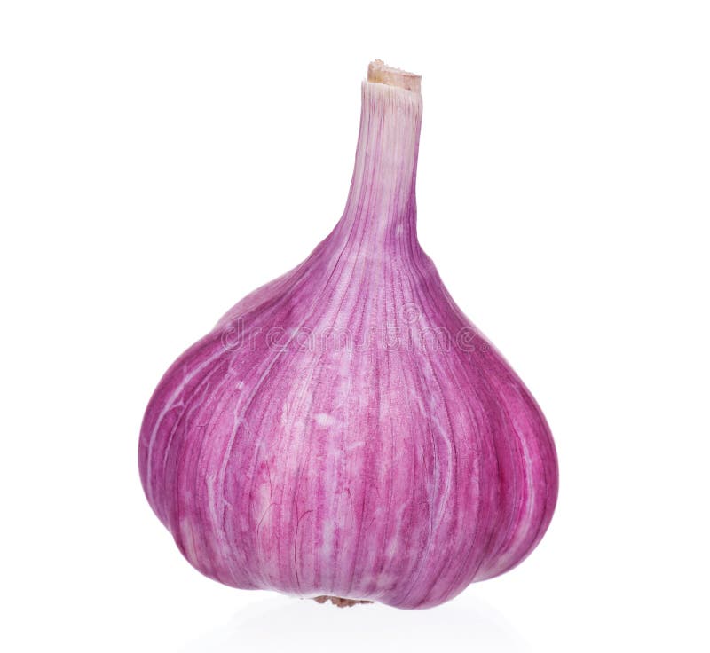 Fresh garlic stock image. Image of ingredient, healthy - 21952255