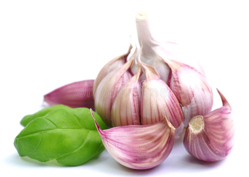 Fresh garlic stock image. Image of pepper, basil, clove - 24428259