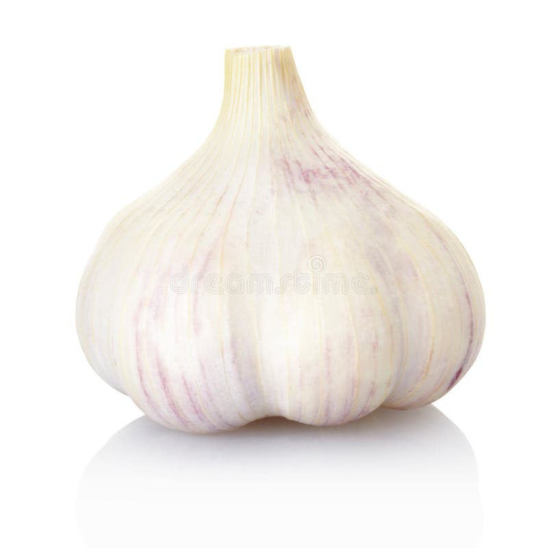 Garlic stock photo. Image of onion, studio, gourmet, herbal - 26512236