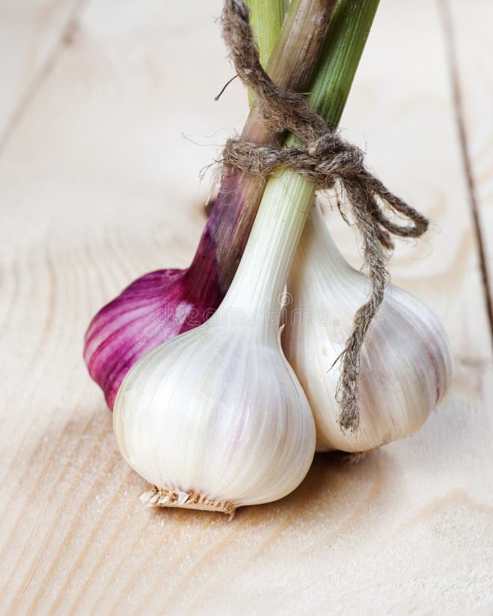 Fresh garlic stock image. Image of background, growing - 25833423