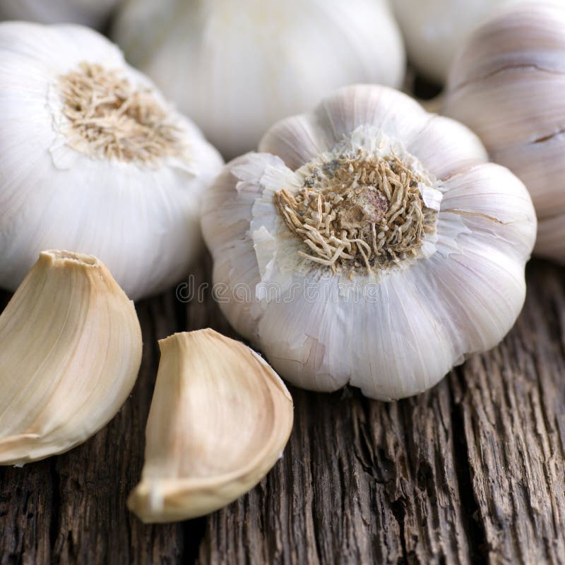 Fresh garlic stock image. Image of cloves, flavor, clove - 26100025
