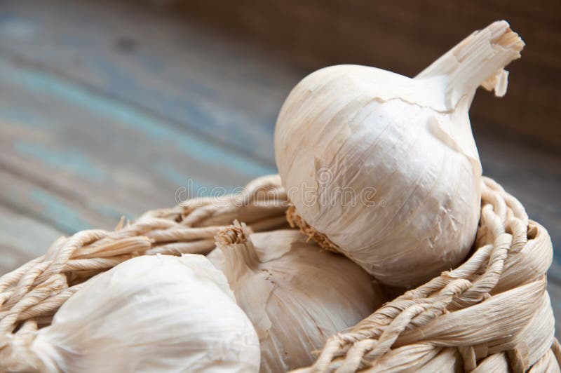 Fresh Garlic. stock photo. Image of fresh, nature, tasty - 26285106