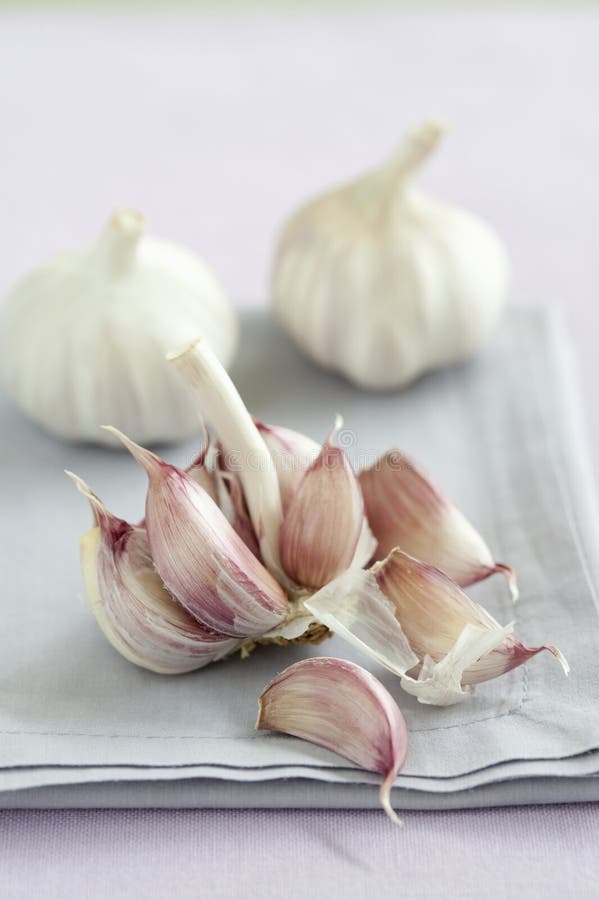 Fresh garlic stock image. Image of foreground, superfood - 30850389