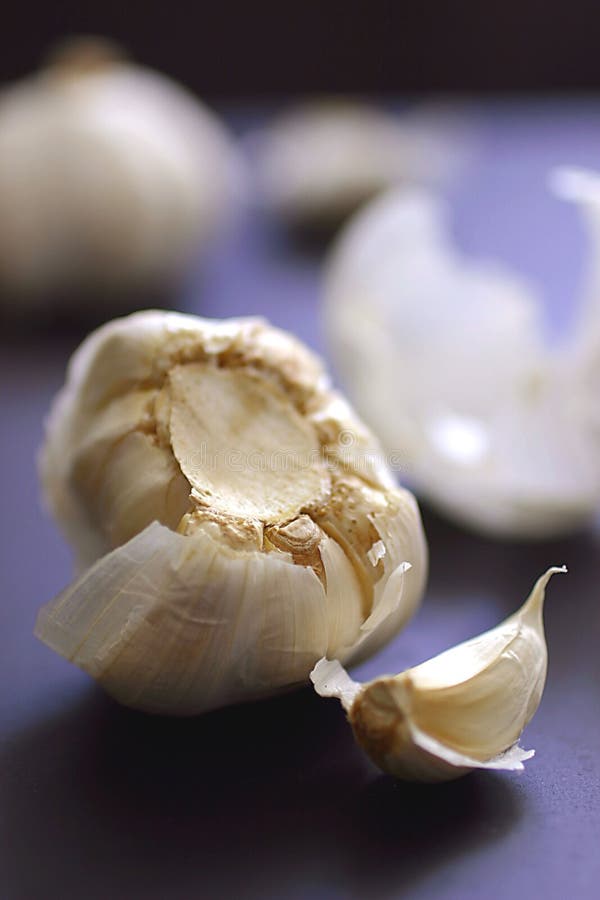 Fresh garlic stock image. Image of veggie, fresh, decorated - 7575511