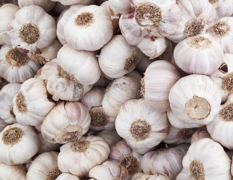 Fresh garlic stock image. Image of spice, traditional - 7653673