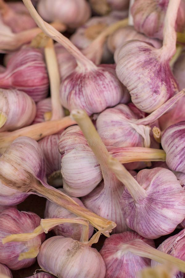 Fresh GARLIC Abstract Fruit Colorful Pattern Texture Background Stock ...