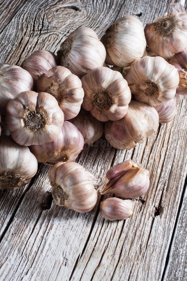 Fresh garlic braid. stock photo. Image of root, tied - 49896056