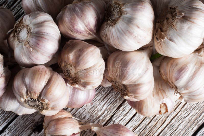 Fresh garlic braid. stock photo. Image of table, healthy - 49896172