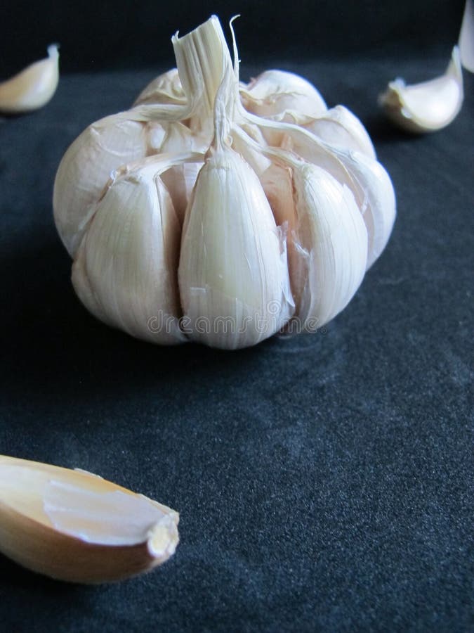 Fresh Garlic Bulb stock photo. Image of gourmet, diet - 124243228