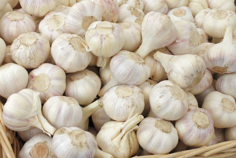480 Garlic Loose Stock Photos - Free & Royalty-Free Stock Photos from ...