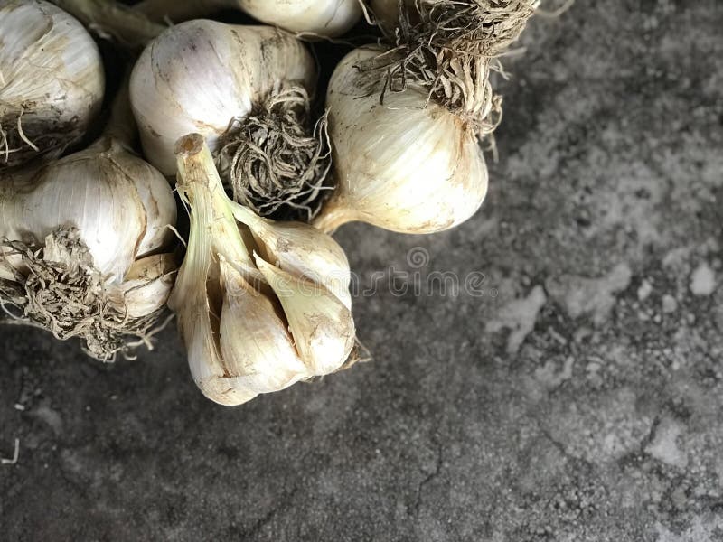 Cluster of Garlic Piled on Table with Copy Space Stock Image - Image of ...