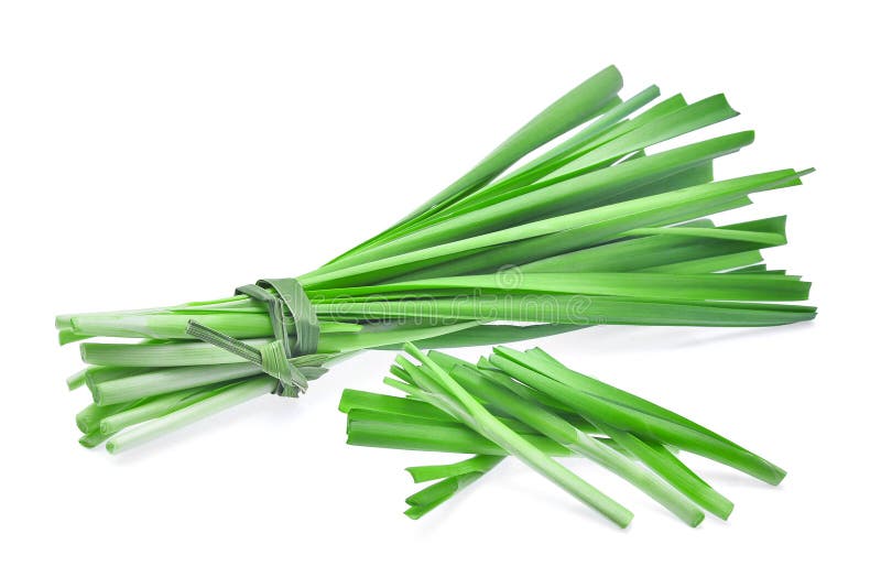 Fresh Garlic Chives Vegetableon Isoalted On White Background Stock ...