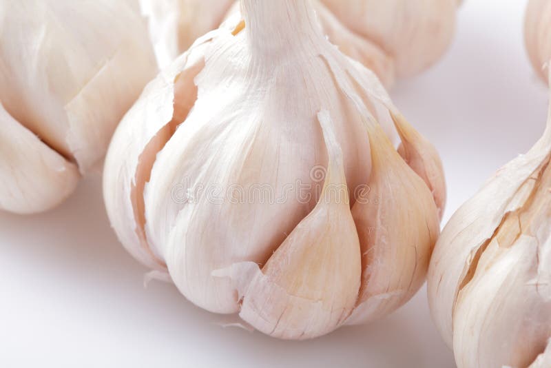 Garlic stock photo. Image of foods, nutrition, organic - 8198176
