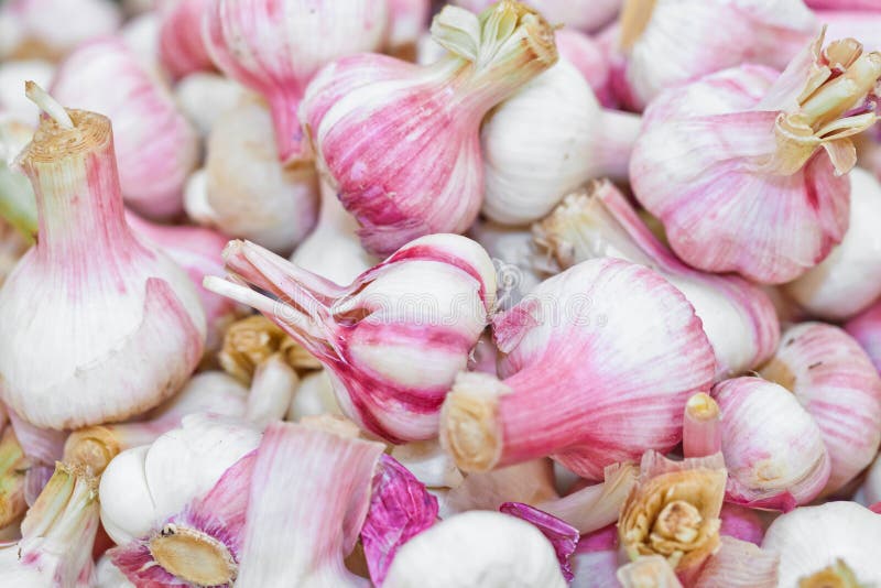 Fresh garlic stock photo. Image of peel, health, sale - 57864760