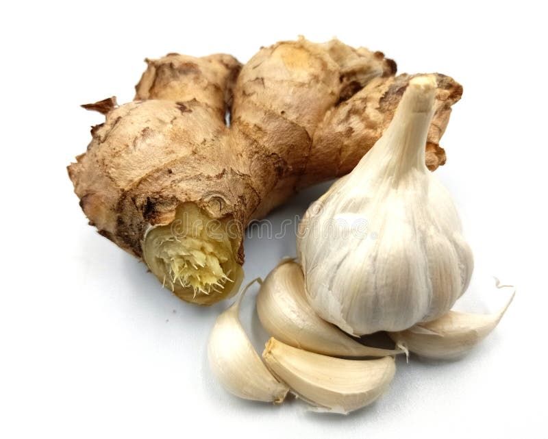 Fresh Garlic or Ginger Isolated on White Background Stock Photo - Image ...