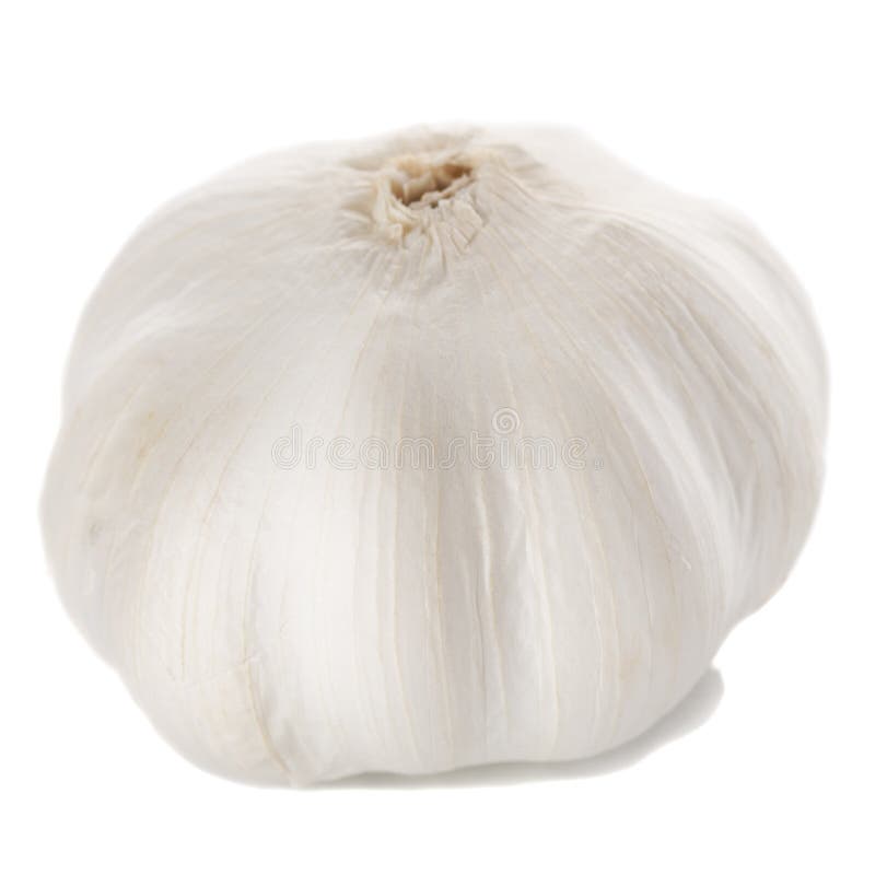 Fresh Garlic Head Isolated on White Stock Photo - Image of head, close ...